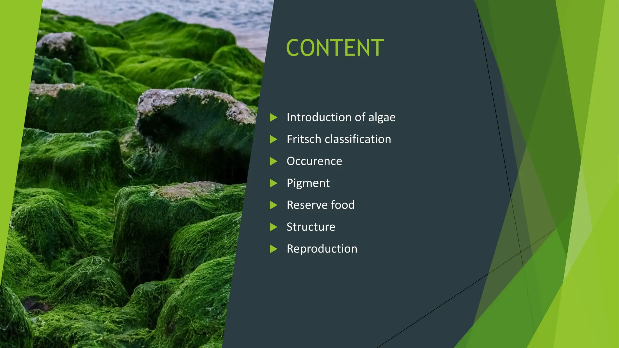 Fritsch classification of microalgae.pptx