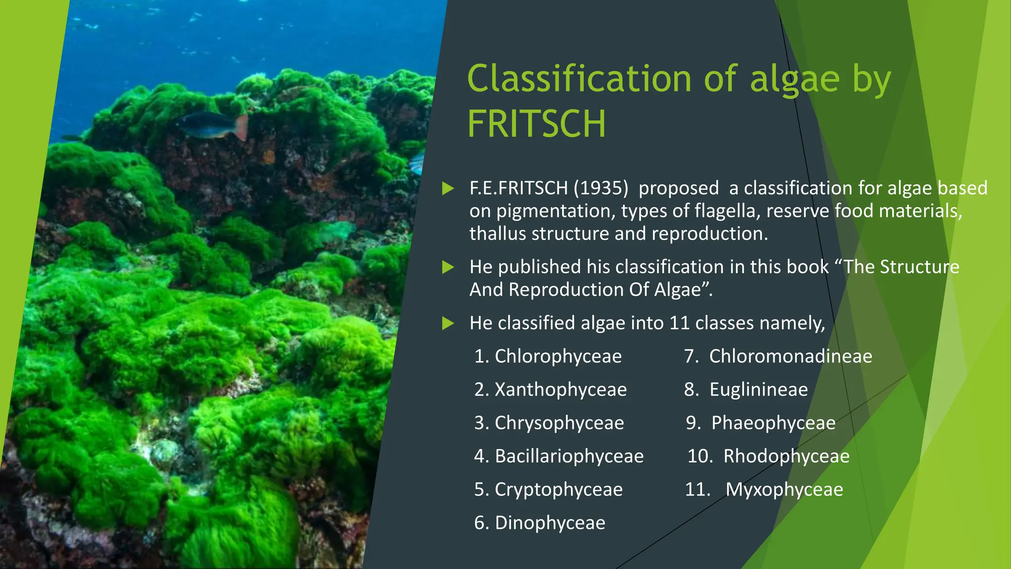 Fritsch classification of microalgae.pptx