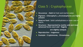Fritsch classification of microalgae.pptx