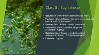 Fritsch classification of microalgae.pptx
