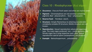 Fritsch classification of microalgae.pptx