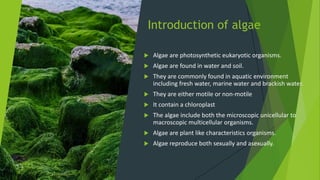 Fritsch classification of microalgae.pptx