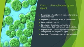 Fritsch classification of microalgae.pptx