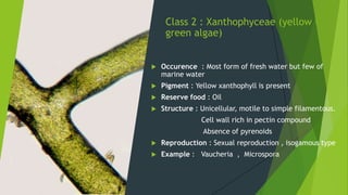Fritsch classification of microalgae.pptx