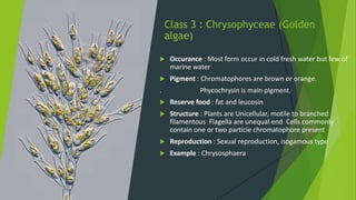 Fritsch classification of microalgae.pptx