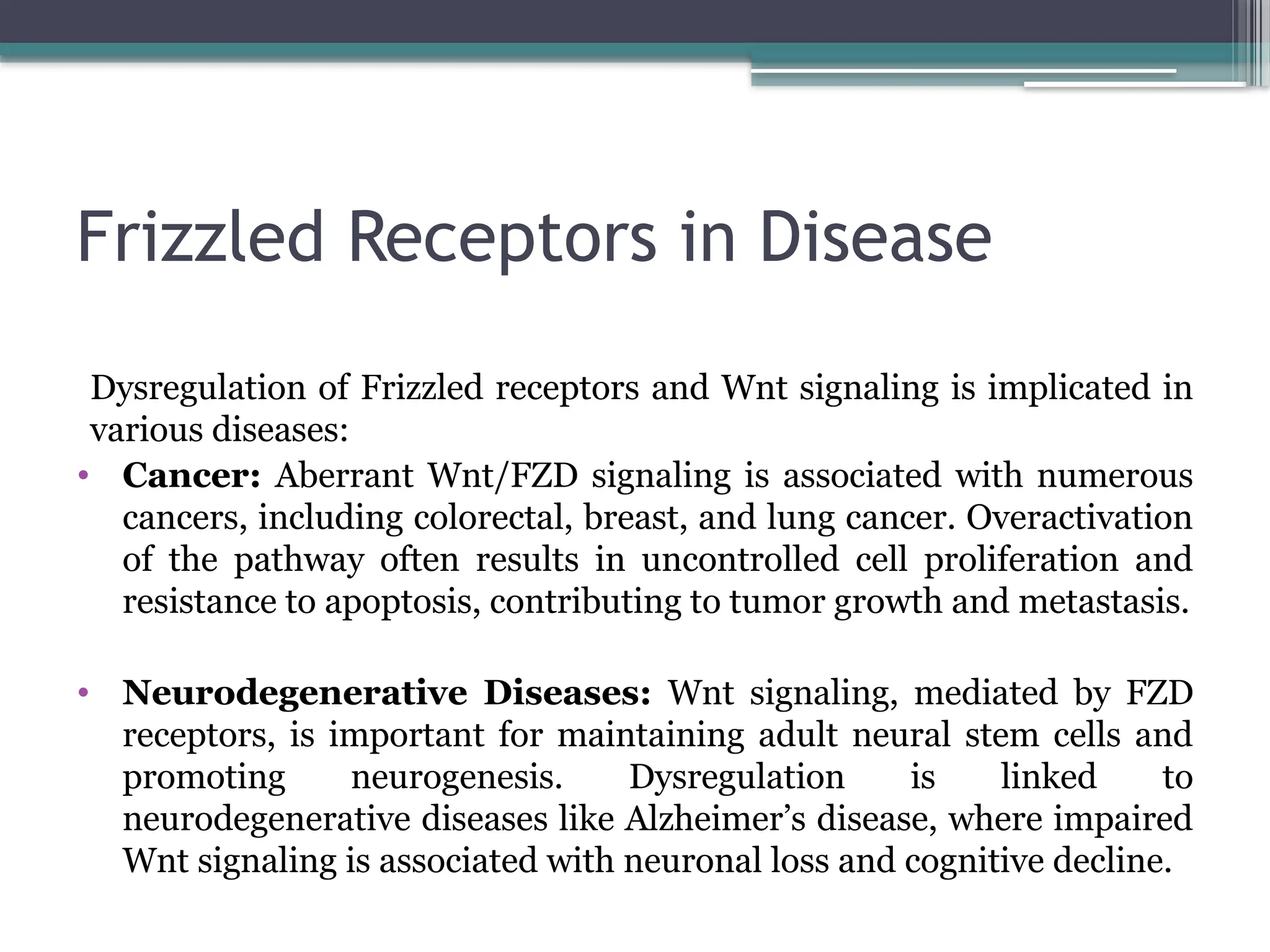 Frizzed receptors in development and disease.pptx