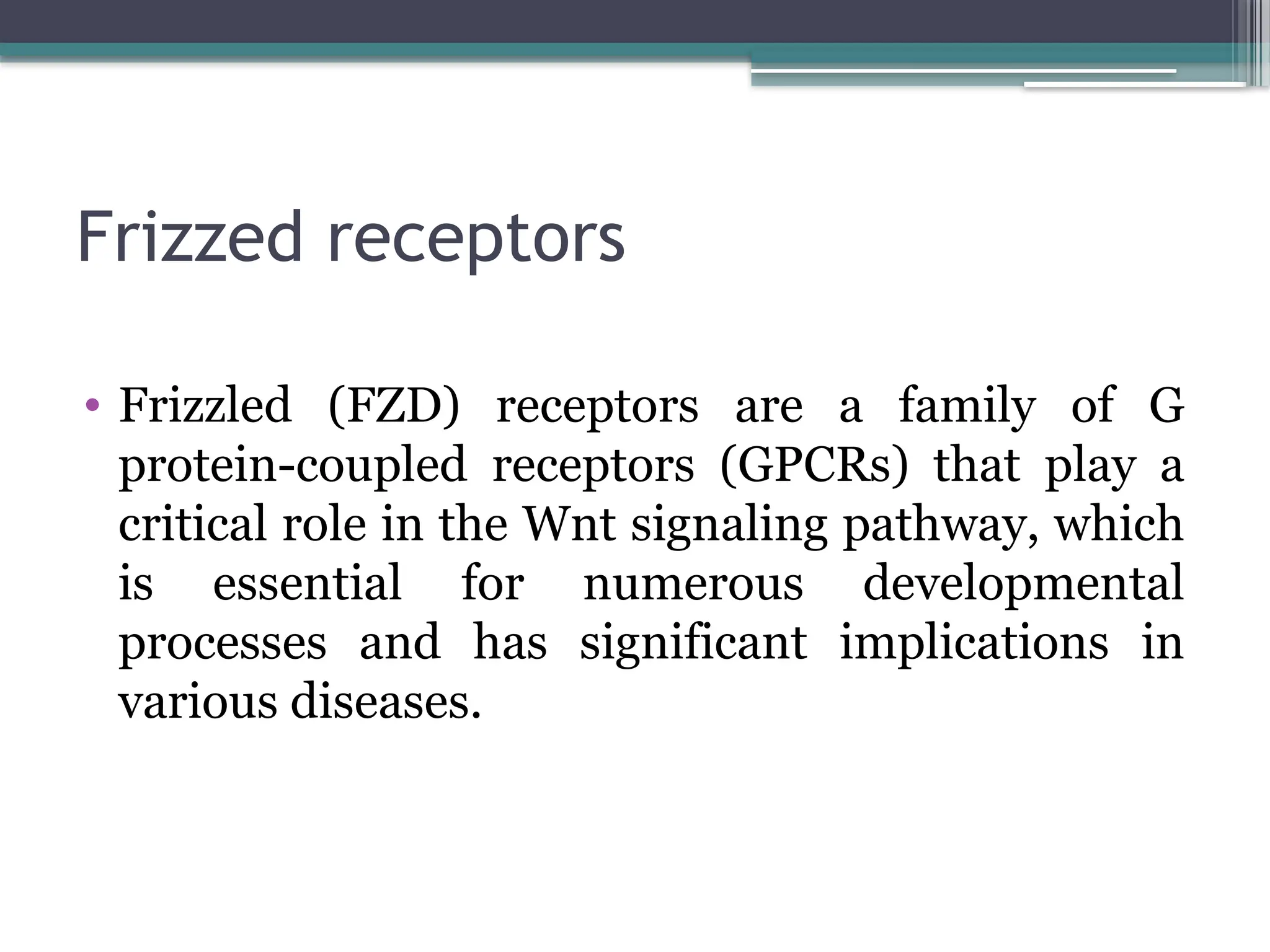 Frizzed receptors in development and disease.pptx