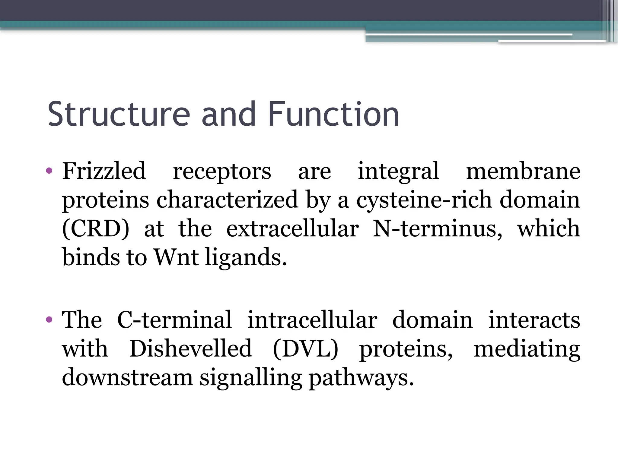Frizzed receptors in development and disease.pptx