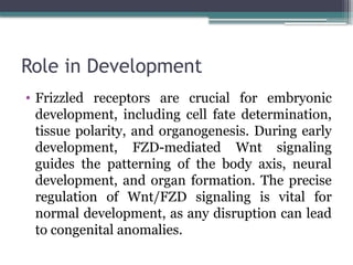 Frizzed receptors in development and disease.pptx