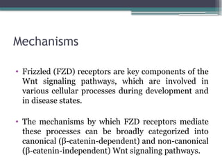 Frizzed receptors in development and disease.pptx