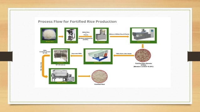 Fortified Rice Kernels presentation on processing | PPTX