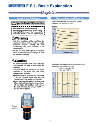 Frl Overview 0508 | PDF