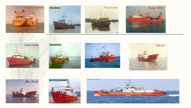 Indian deep sea fishing vessels in Indian EEZ : MFRAct 1981 : draft ...