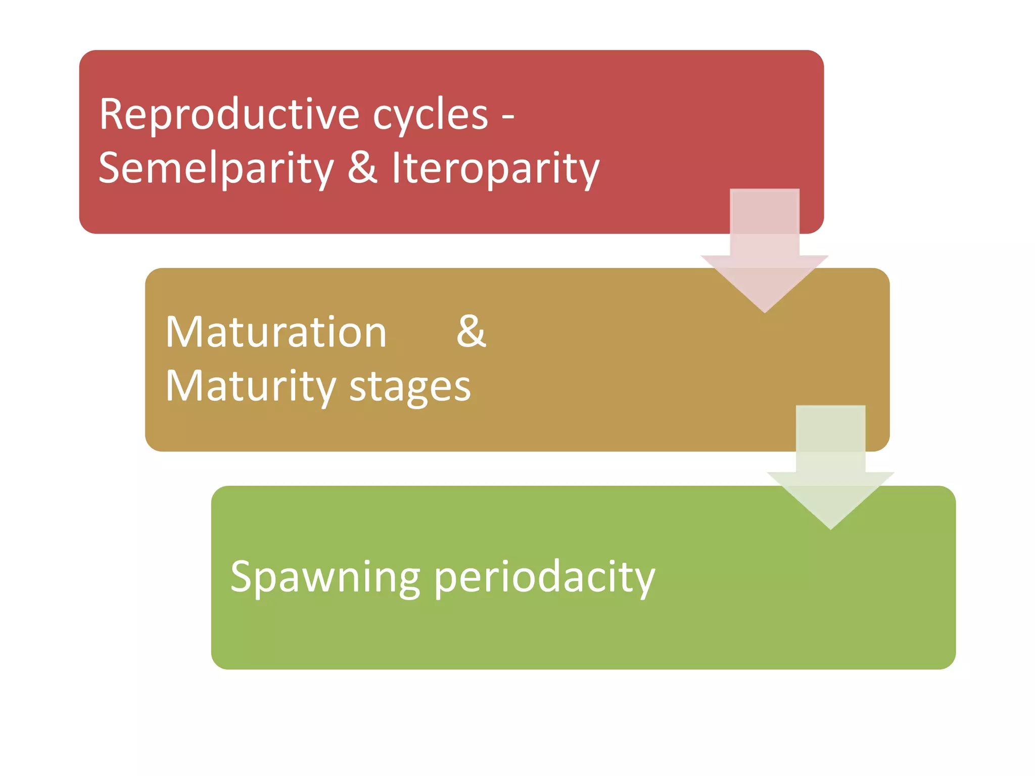 Reproductive cycles - Semelparity & Iteroparity Maturation & Maturity ...