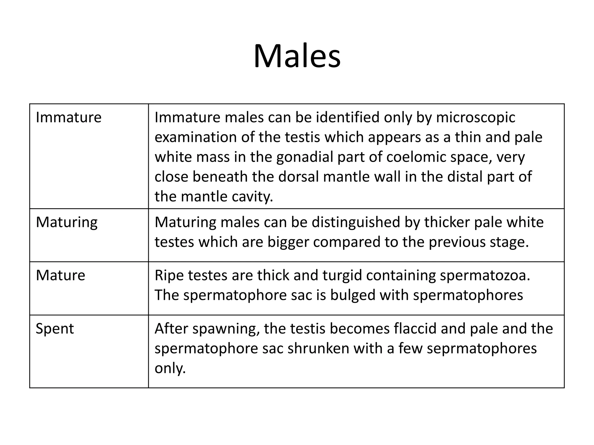 Reproductive cycles - Semelparity & Iteroparity Maturation & Maturity ...