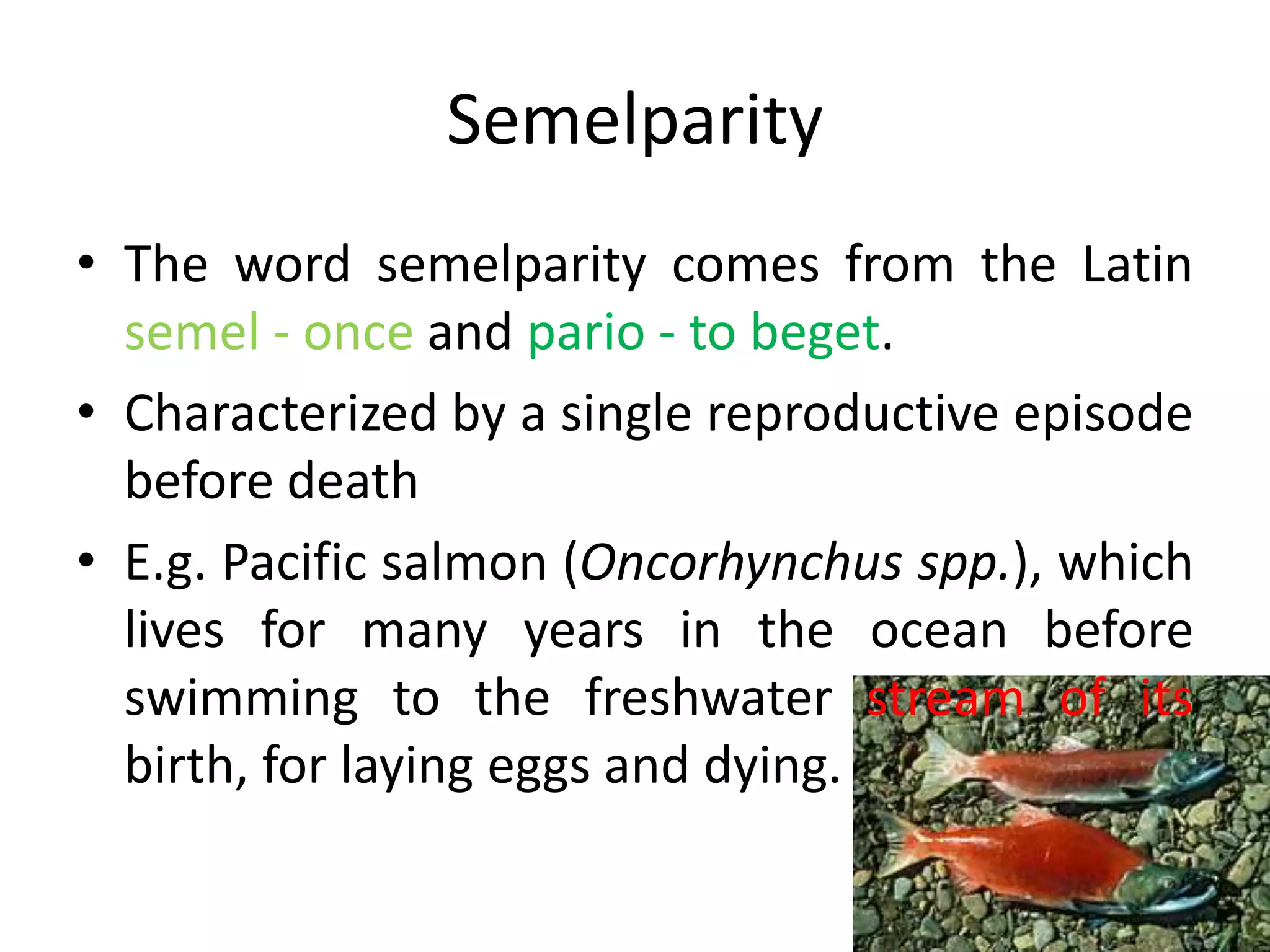 Reproductive cycles - Semelparity & Iteroparity Maturation & Maturity ...