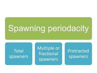 Reproductive cycles - Semelparity & Iteroparity Maturation & Maturity ...