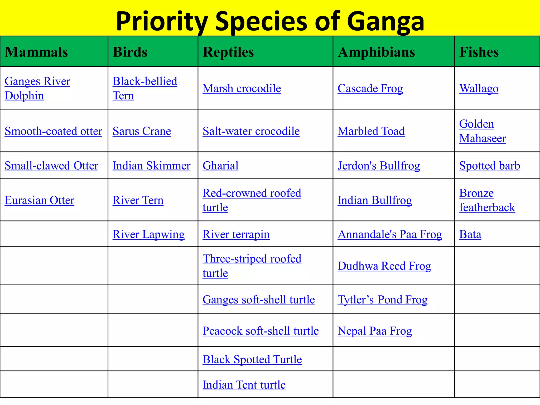 Frm 601 ganga action plan b9 | PDF