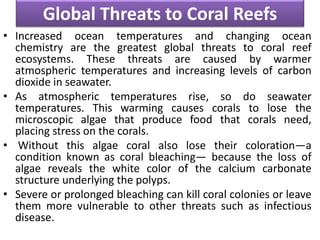 Frm 607 threats to coral reef b9 copy | PPTX