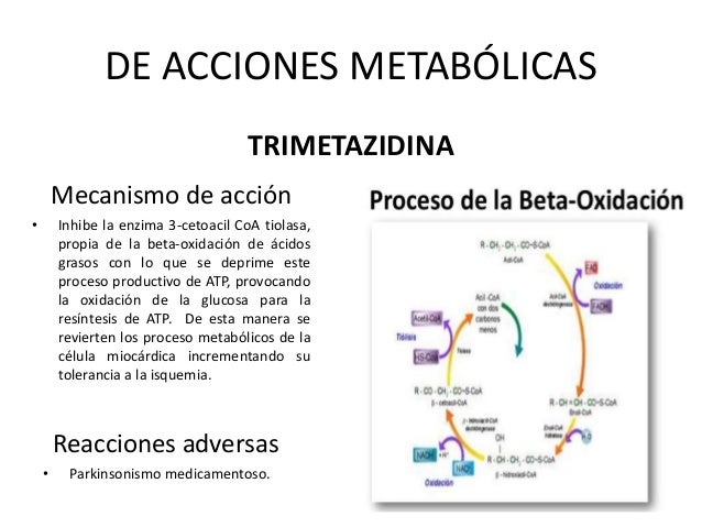 Fármacos para la insuficiencia cardíaca y antianginosos