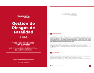 FRM Gestion de Riesgos de Fatalidad 26 marzo.pdf