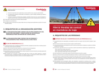 FRM Gestion de Riesgos de Fatalidad 26 marzo.pdf