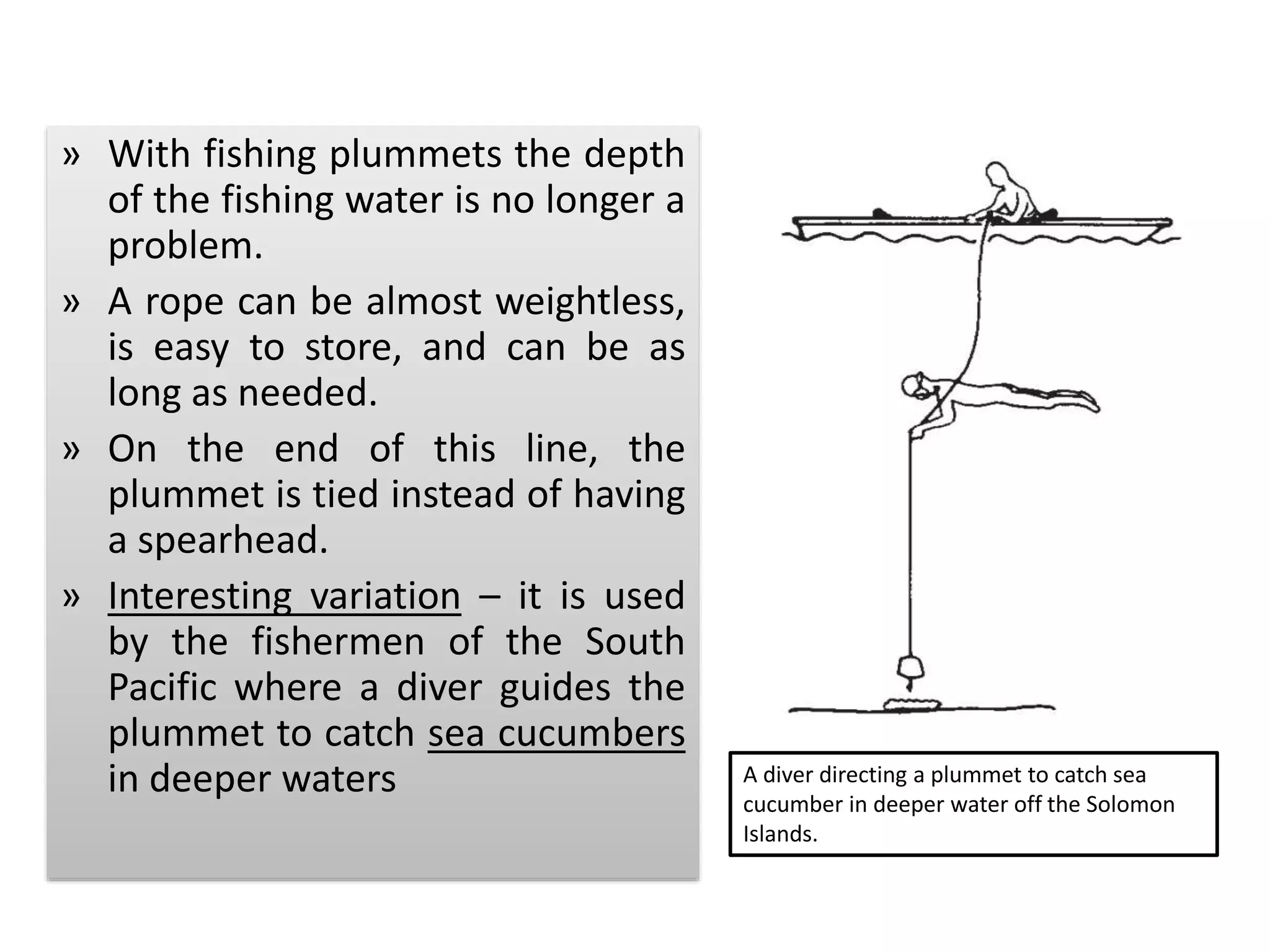 Spearing, Harpooning and Shooting fish.pptx