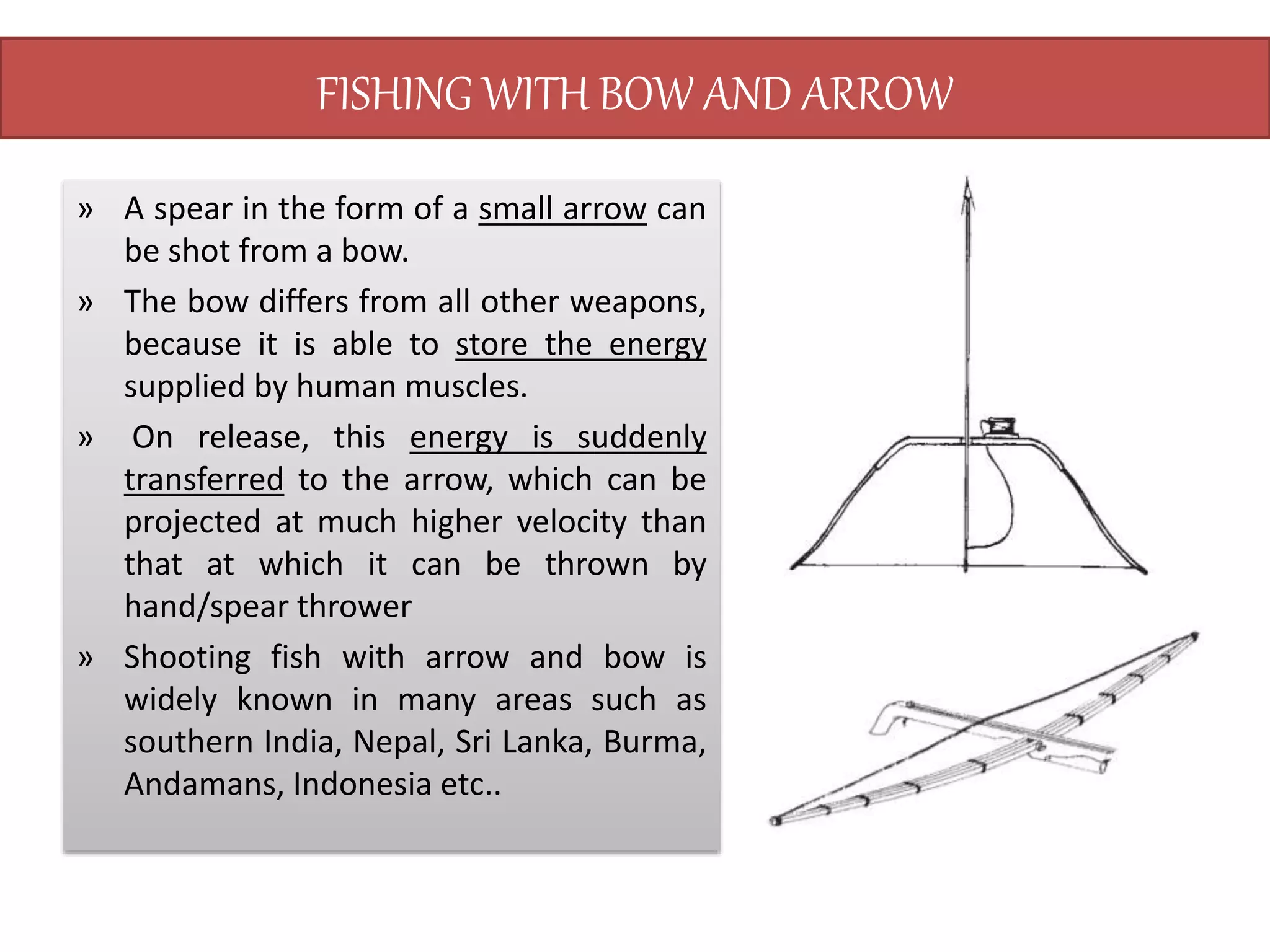 Spearing, Harpooning and Shooting fish.pptx