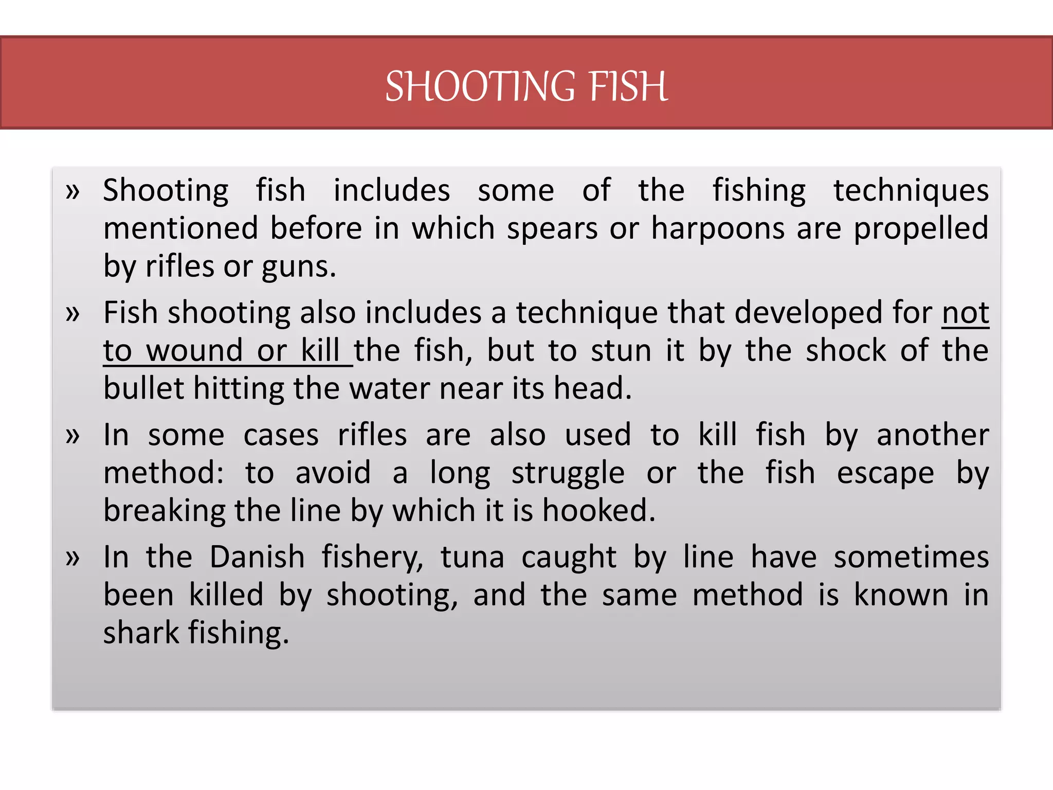 Spearing, Harpooning and Shooting fish.pptx