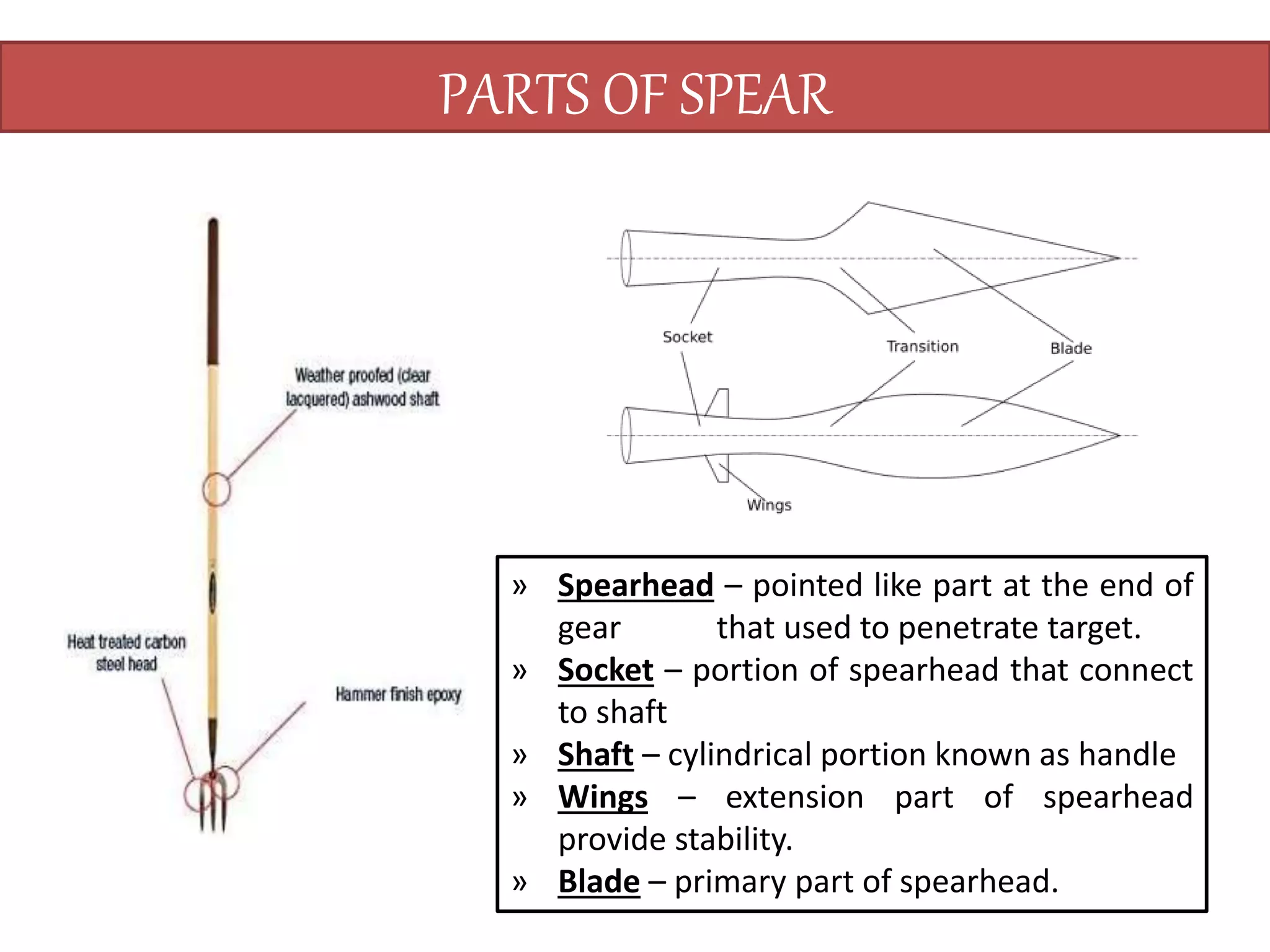 Spearing, Harpooning and Shooting fish.pptx
