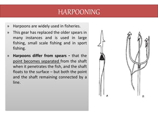 Spearing, Harpooning and Shooting fish.pptx