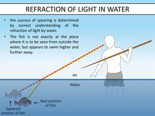 Spearing, Harpooning and Shooting fish.pptx