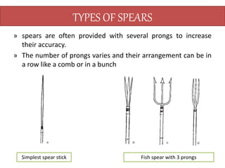 Spearing, Harpooning and Shooting fish.pptx