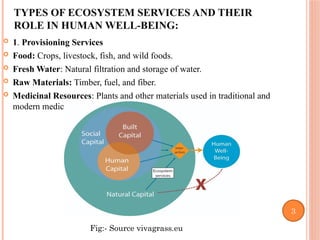 FRm assignment , ecosystemPPT final-1.pptx