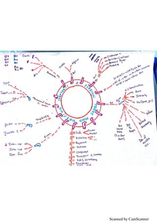 Foreign trade Intro Mind map | PDF