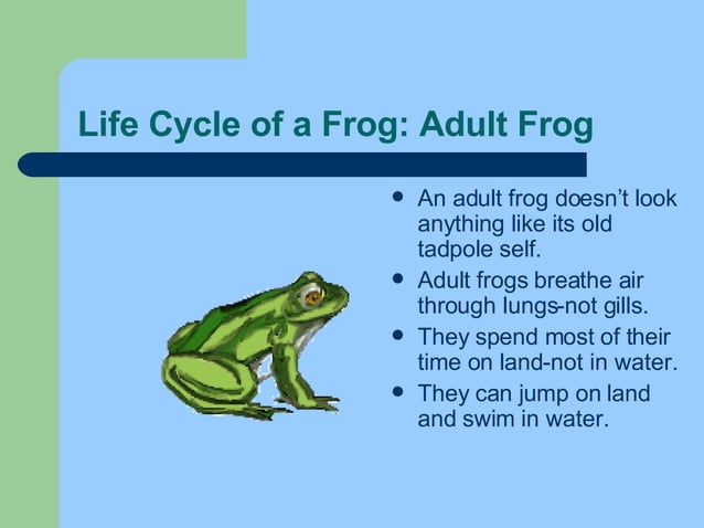 Frog | PPT