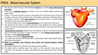 Frog | PPSX | Digestive Disorders | Diseases and Conditions