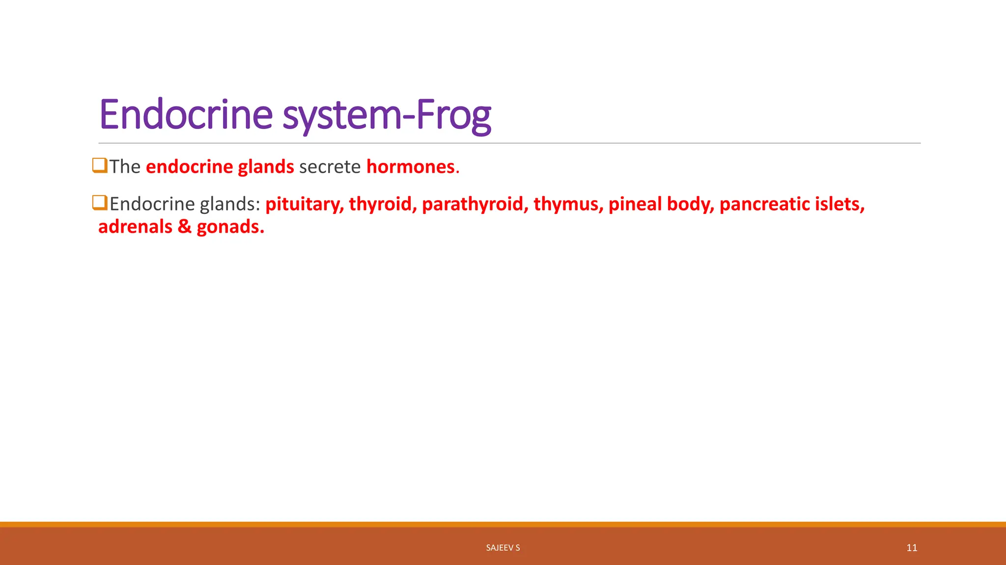 Animal morphology frog - Higher secondary second year zoology.pdf