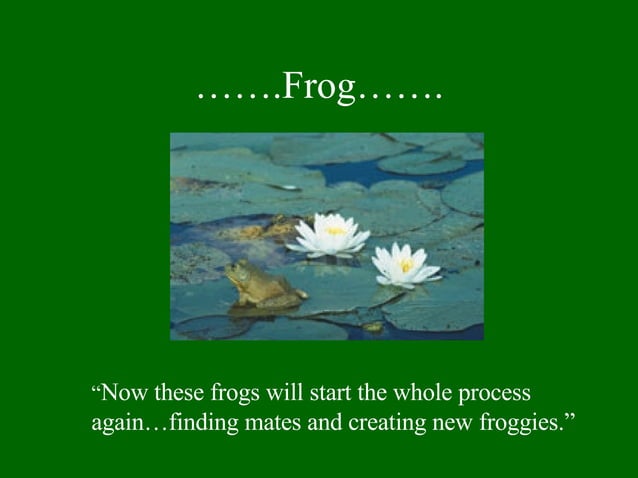Frog Life Cycle | PPT