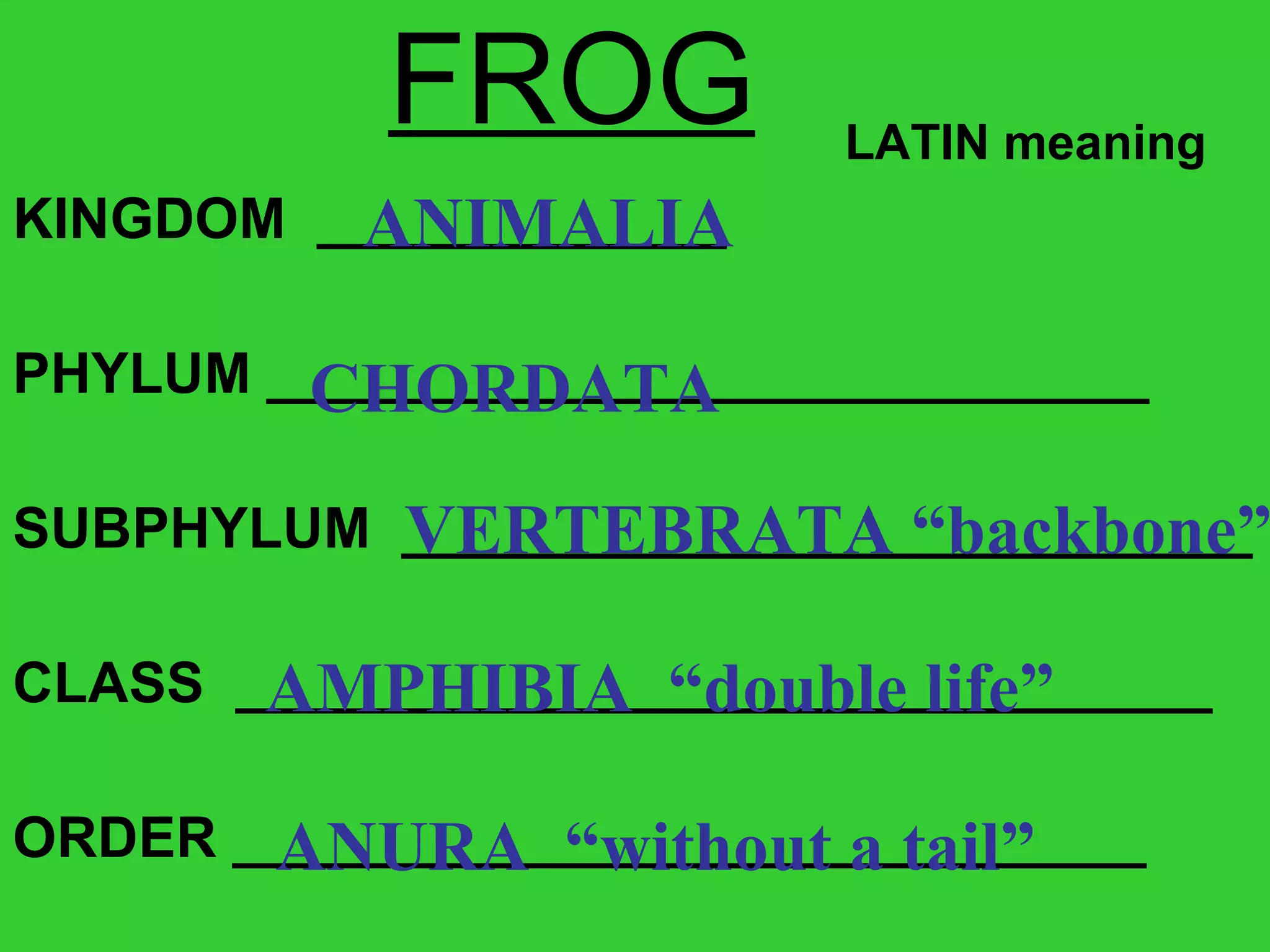 Frog Anatomy and morphology | PPT