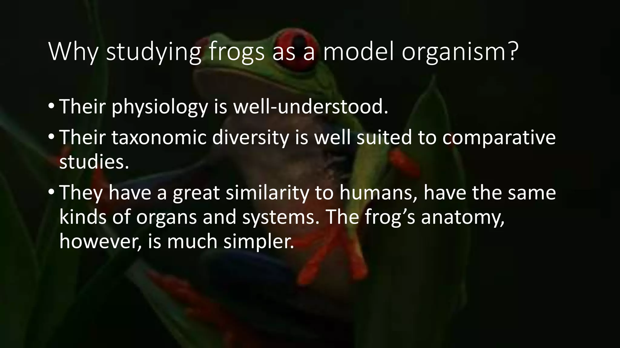 Frog anatomy & physiology.pptx