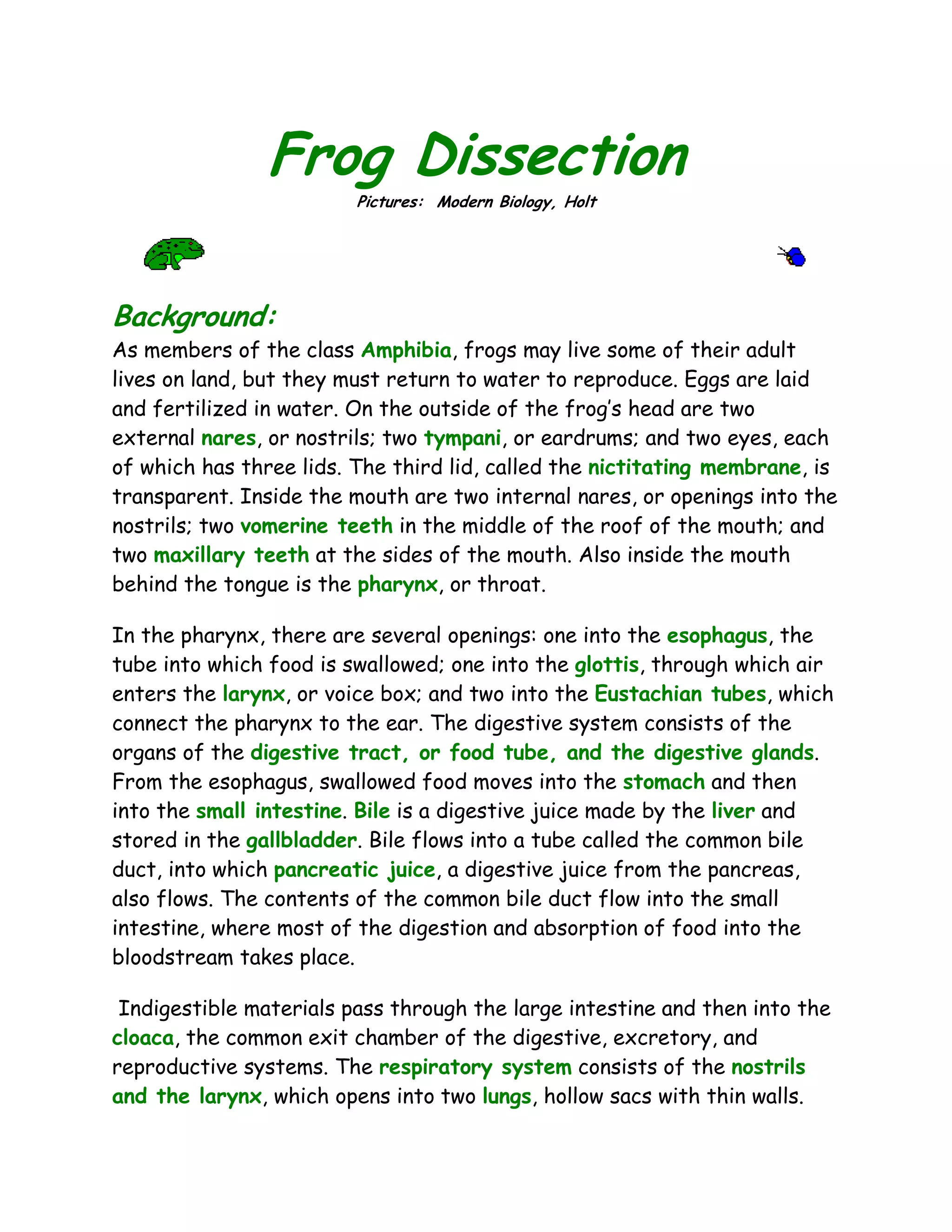 Frog and taod dissection | DOCX