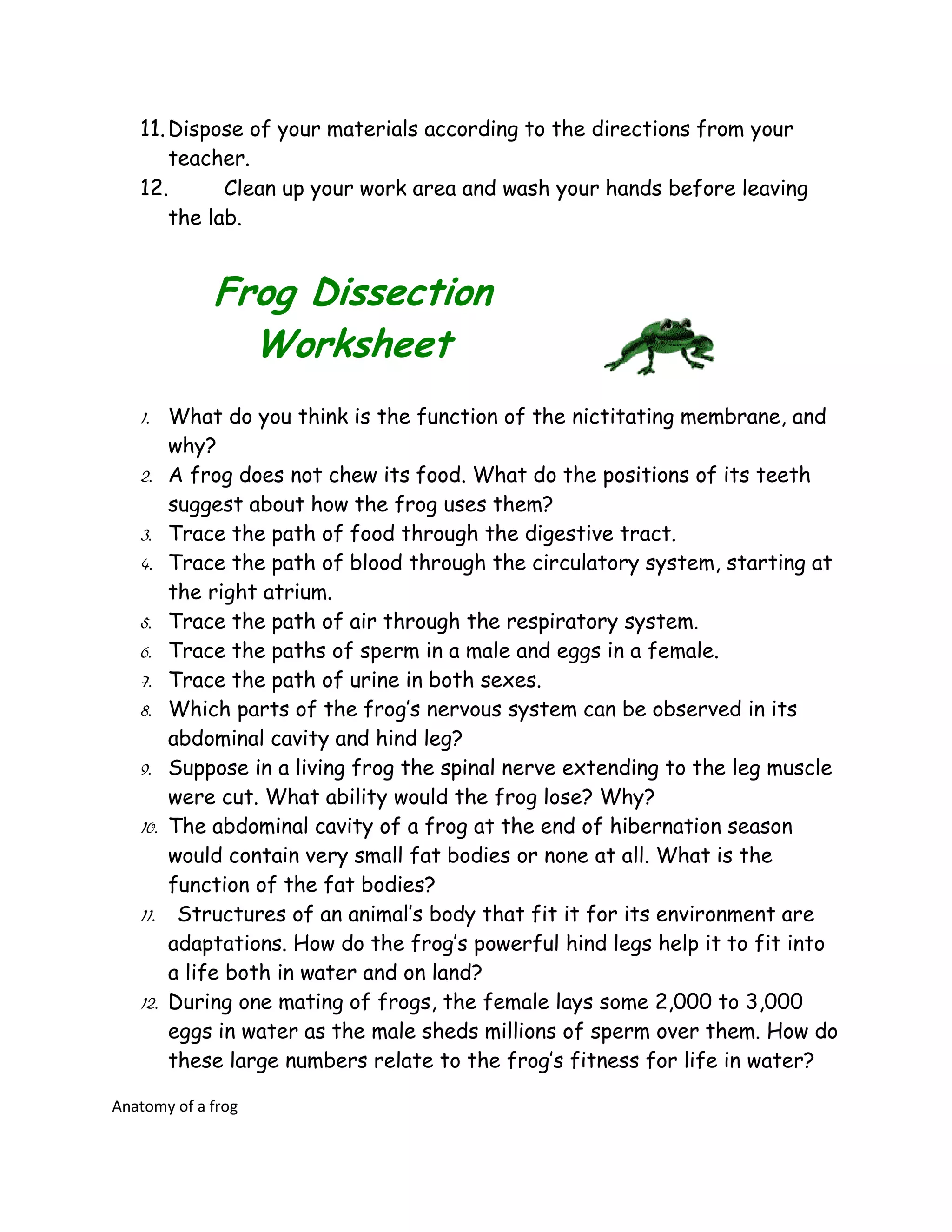 Frog and taod dissection | DOCX