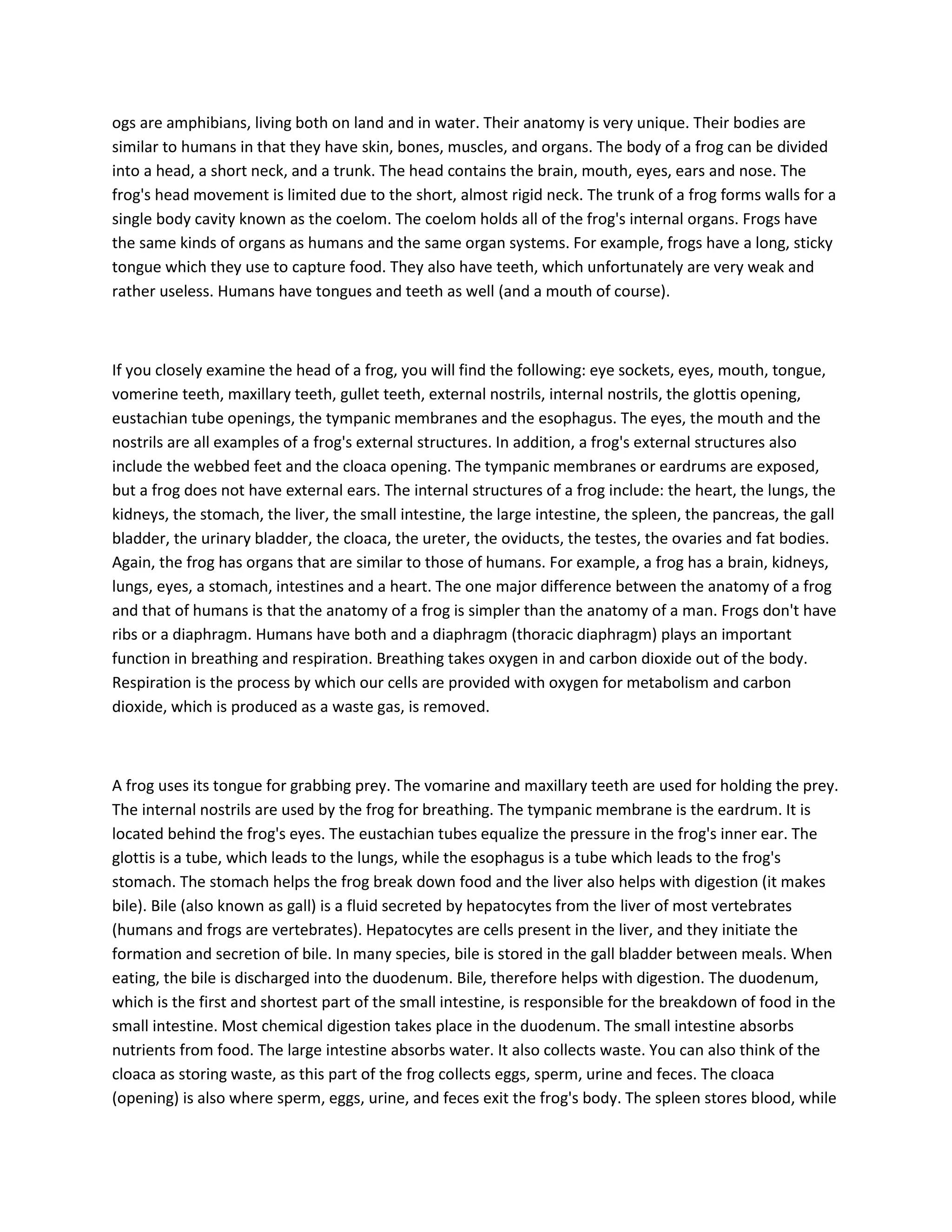 Frog and taod dissection | DOCX