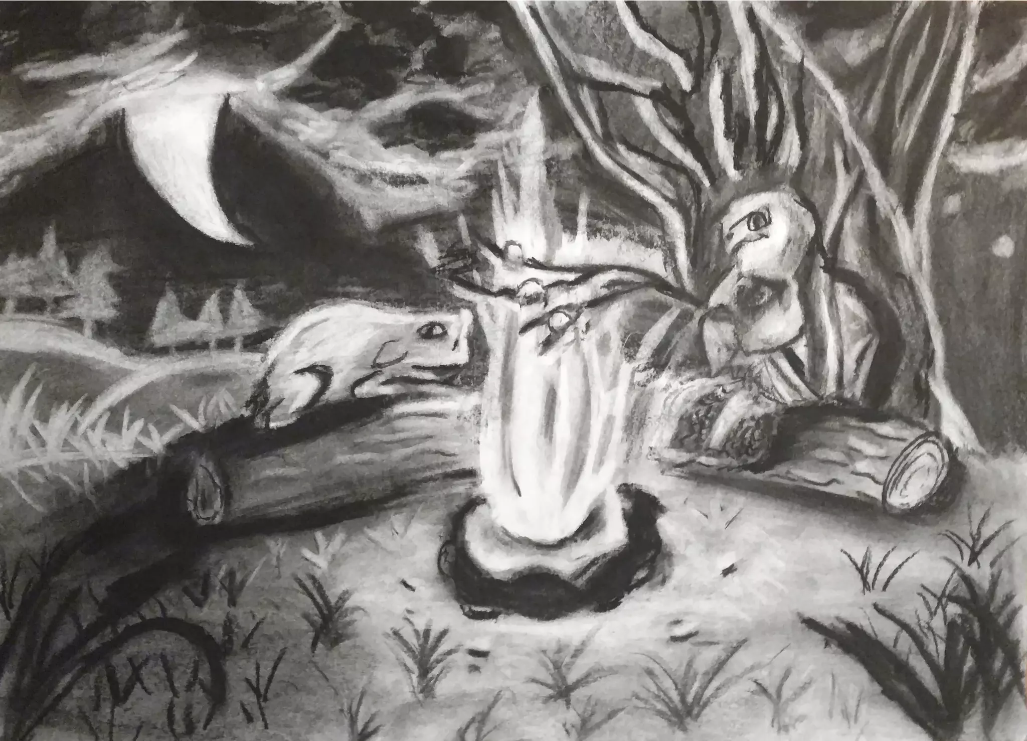 Frog and Turtle's Campfire | PDF