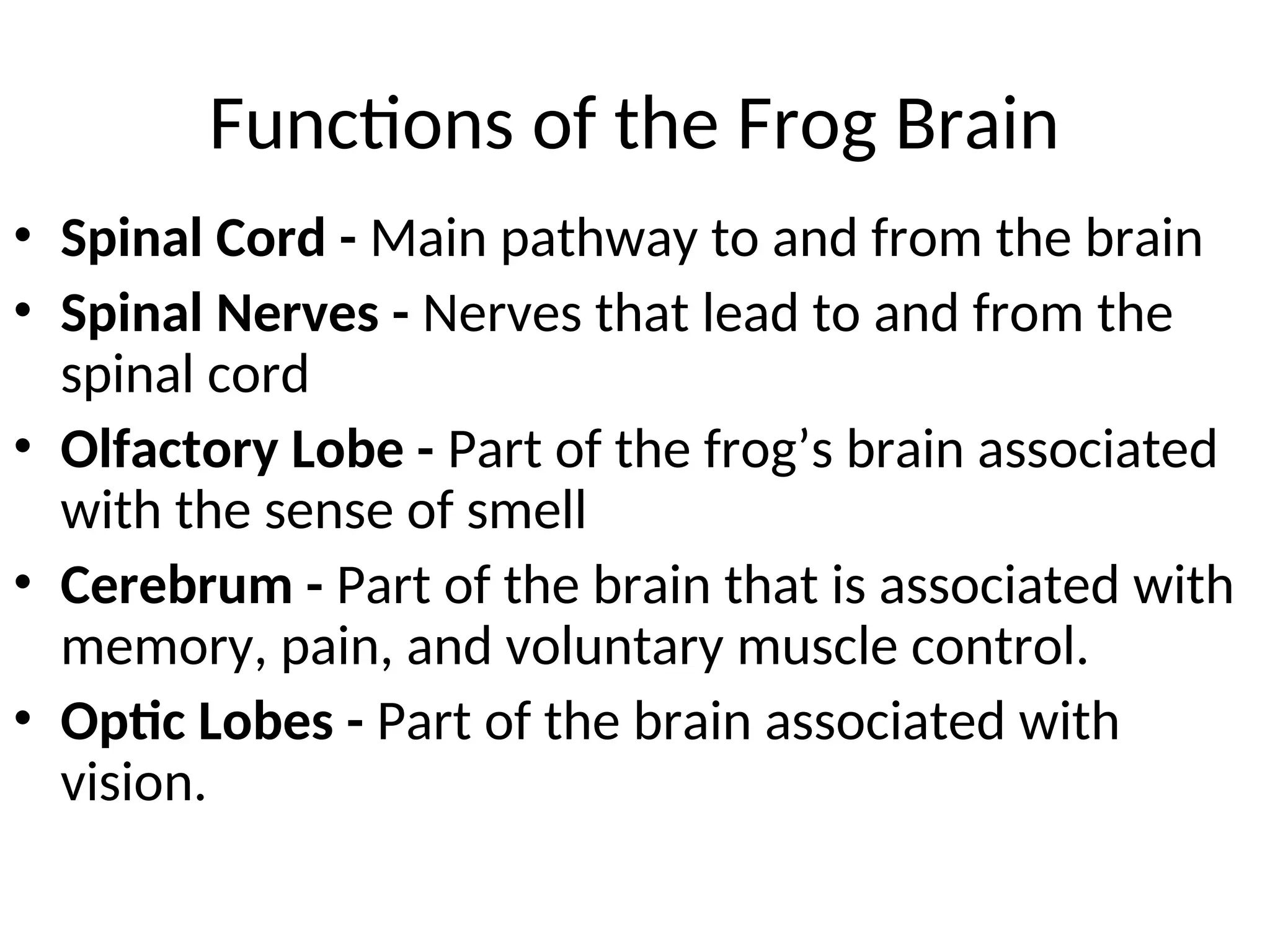 frog body parts and functions.ppt Grade 5 | PPT
