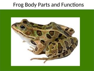 frog body parts and functions.ppt Grade 5 | PPT