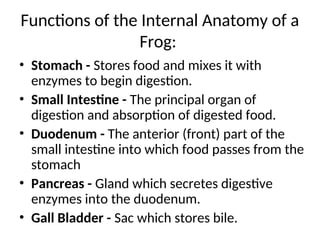 frog body parts and functions.ppt Grade 5 | PPT
