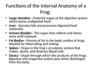 frog body parts and functions.ppt Grade 5 | PPT