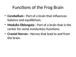 frog body parts and functions.ppt Grade 5 | PPT